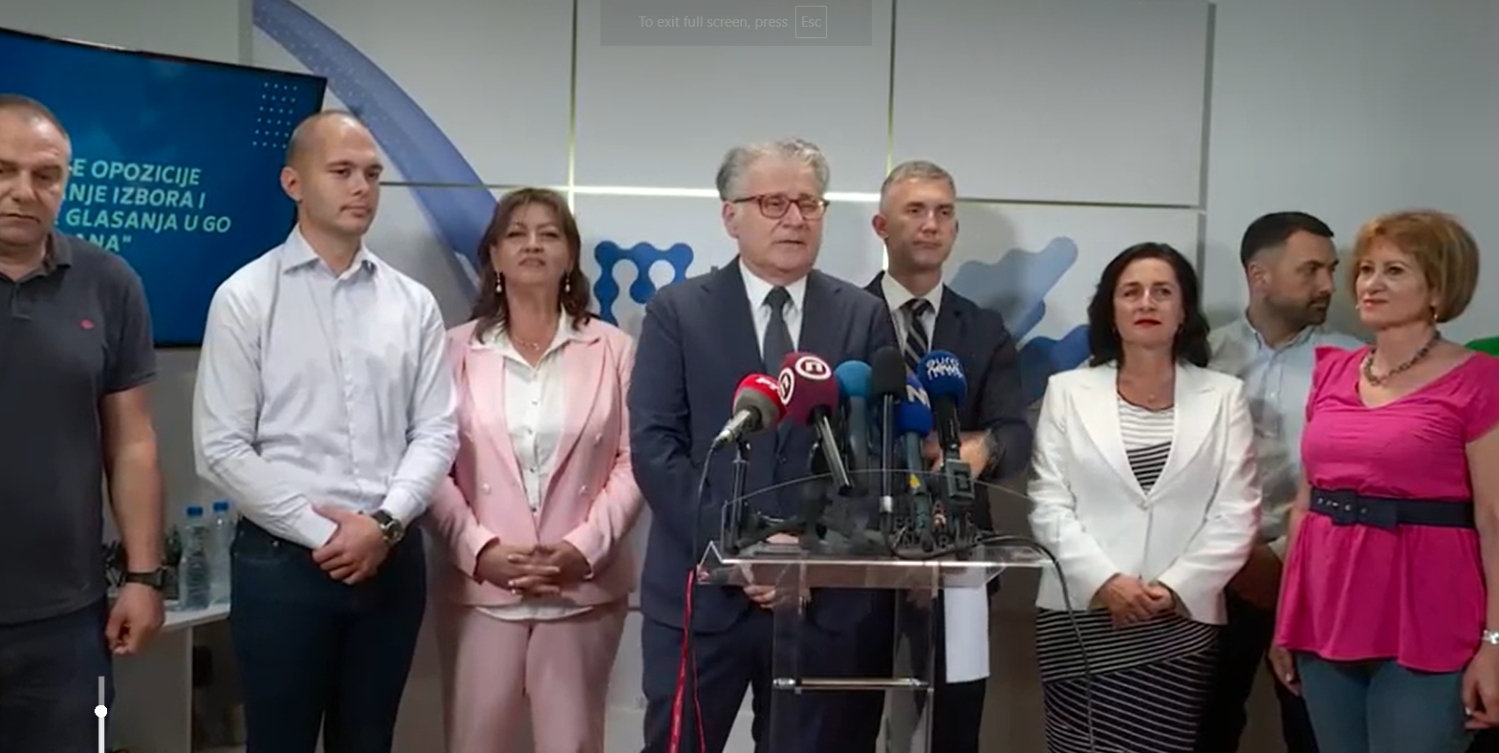 Dr Milić: Kad je neko lopovisao, ne može da ide podignuta čela, kako se vlast ne stidi ...